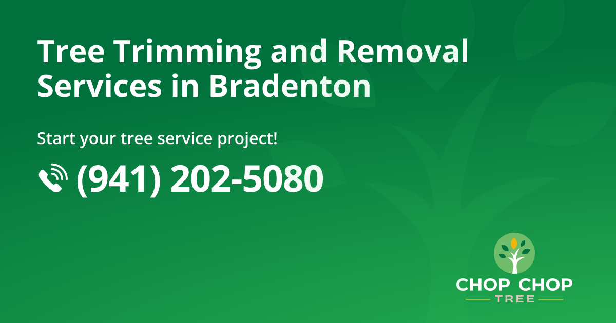 Tree Removal & Tree Services in Bradenton | Chop Chop Tree